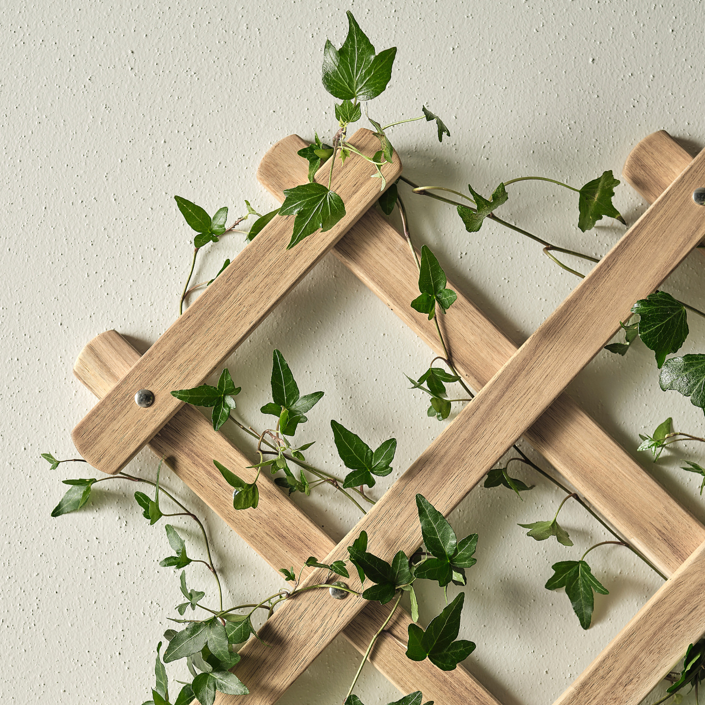 ASKHOLMEN trellis acacia - IKEA