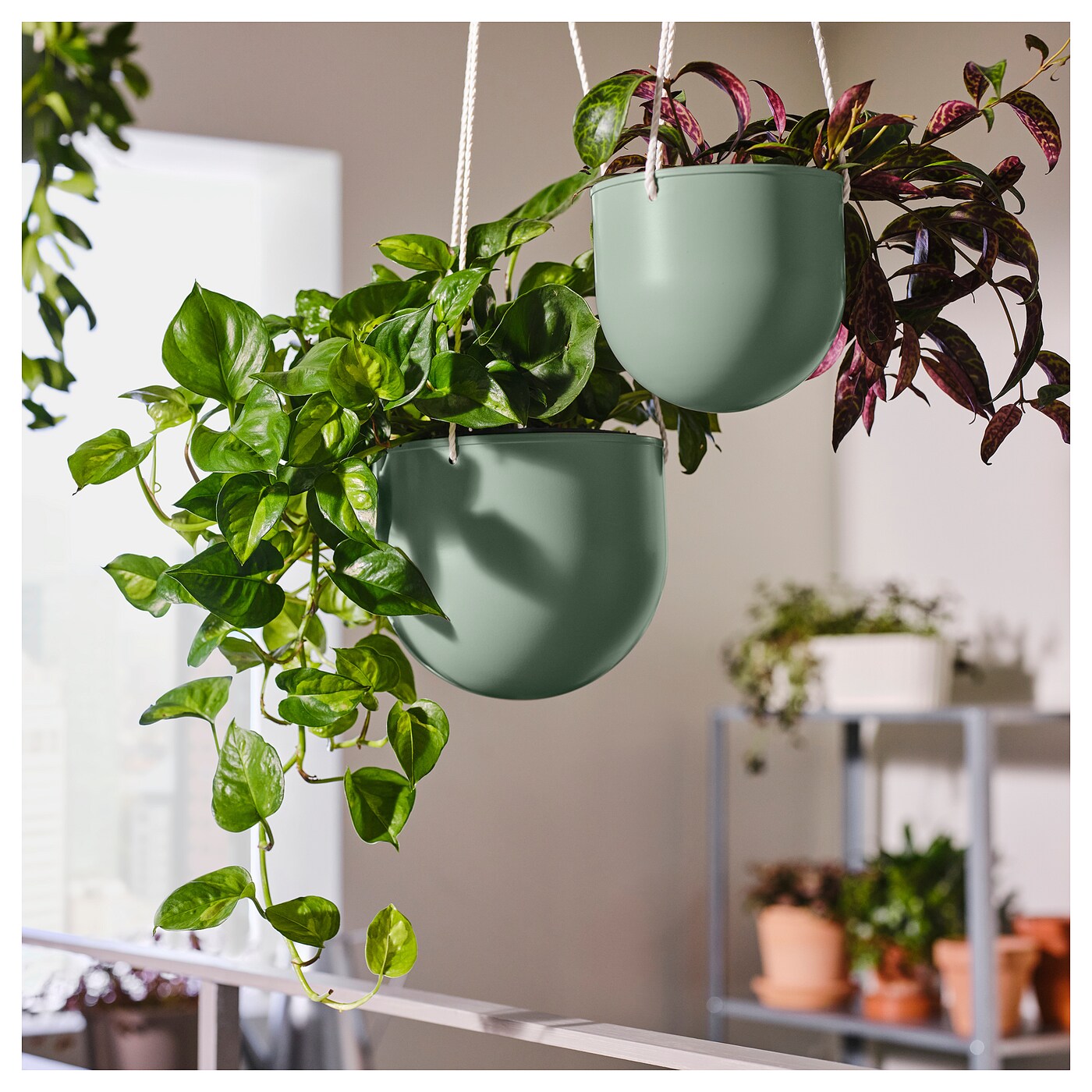 Hanging pots ikea store