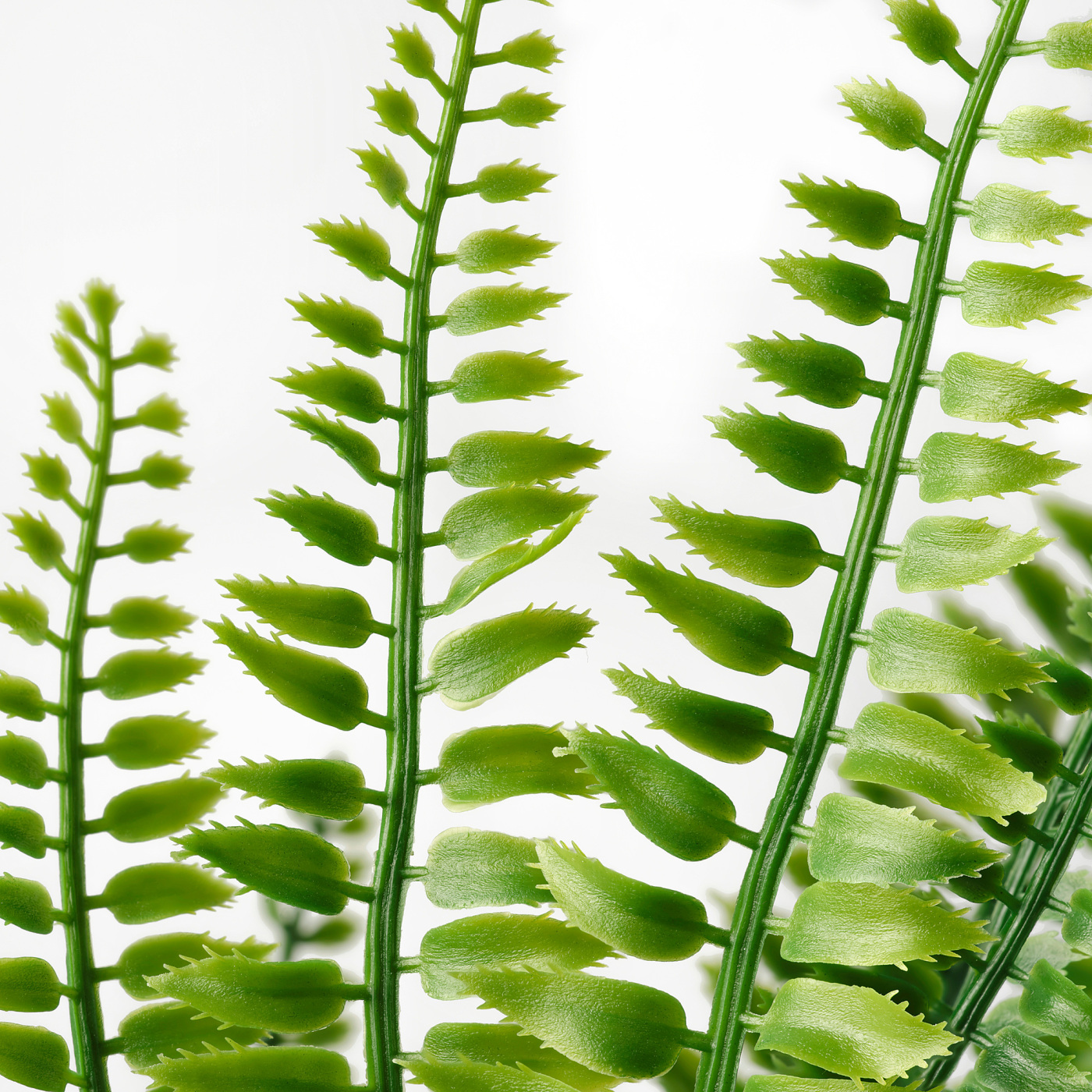 FEJKA artificial potted plant in/outdoor fern - IKEA