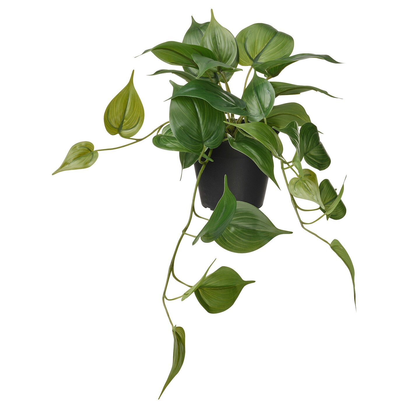 FEJKA artificial potted plant in/outdoor Golden Pothos/hanging - IKEA