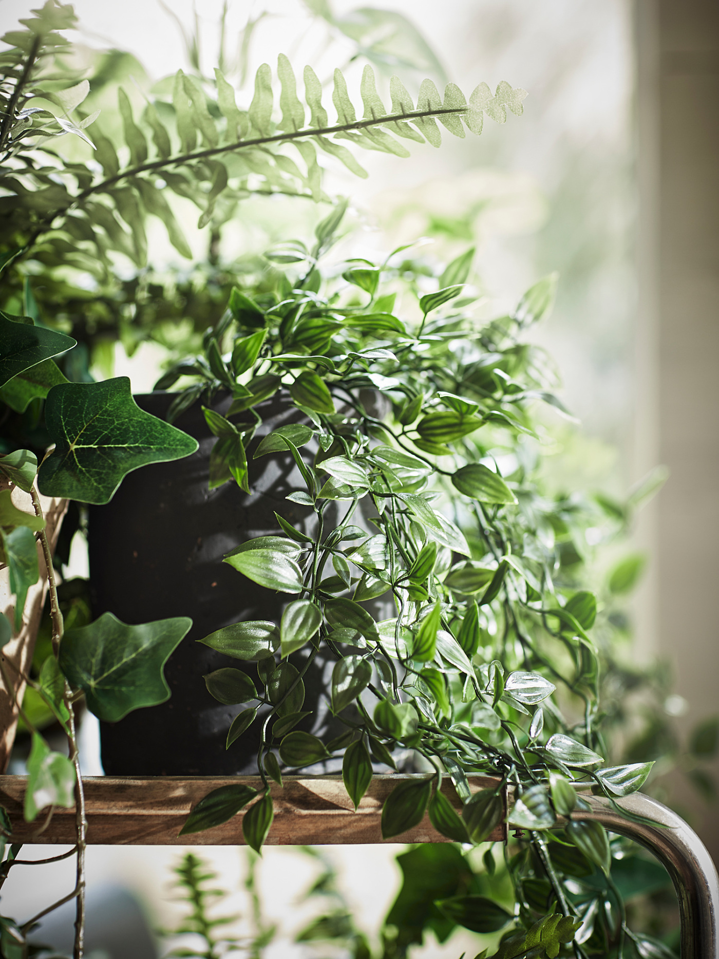 FEJKA artificial potted plant in/outdoor/hanging - IKEA