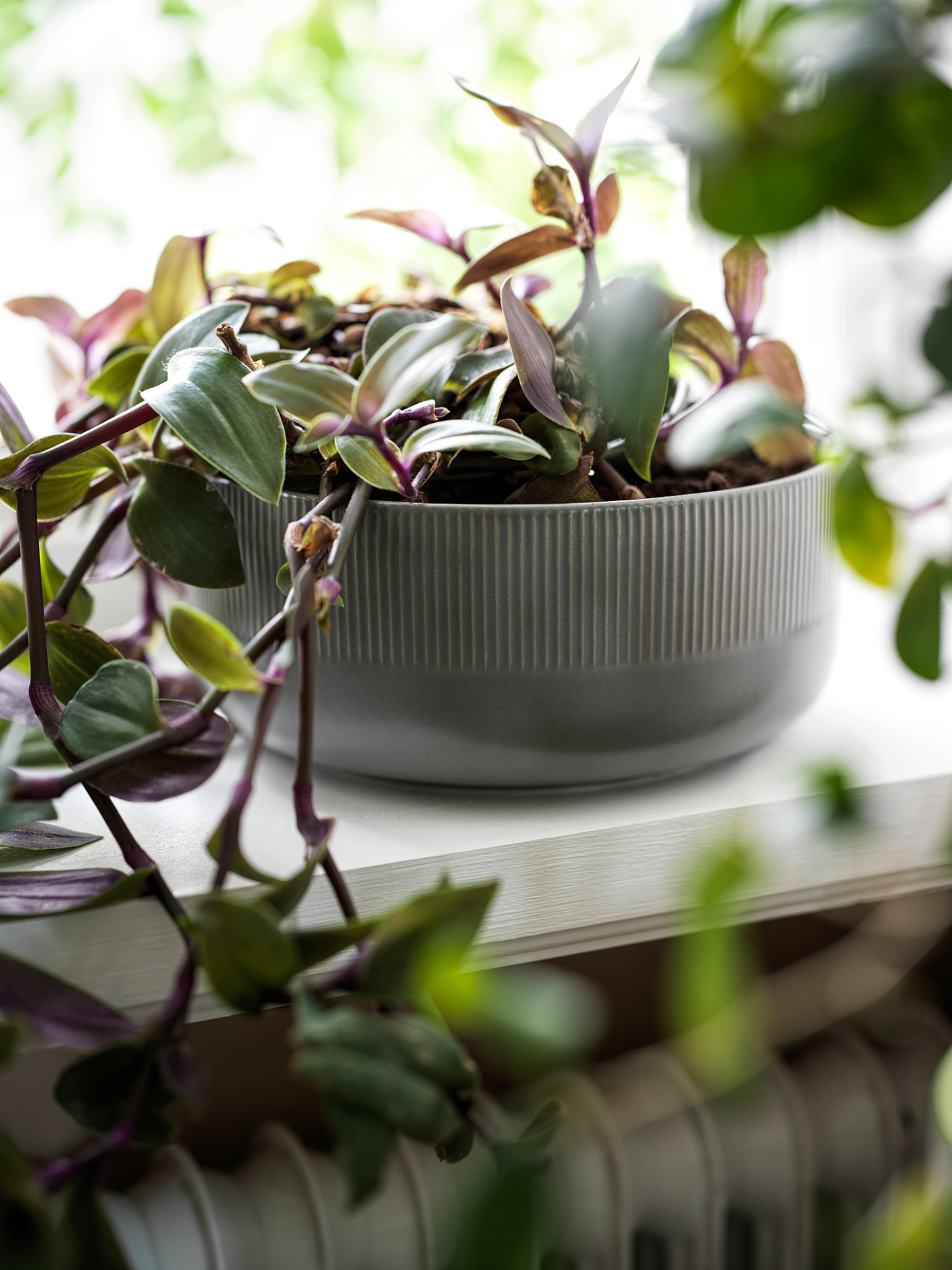 GRADVIS planter in/outdoor grey - IKEA