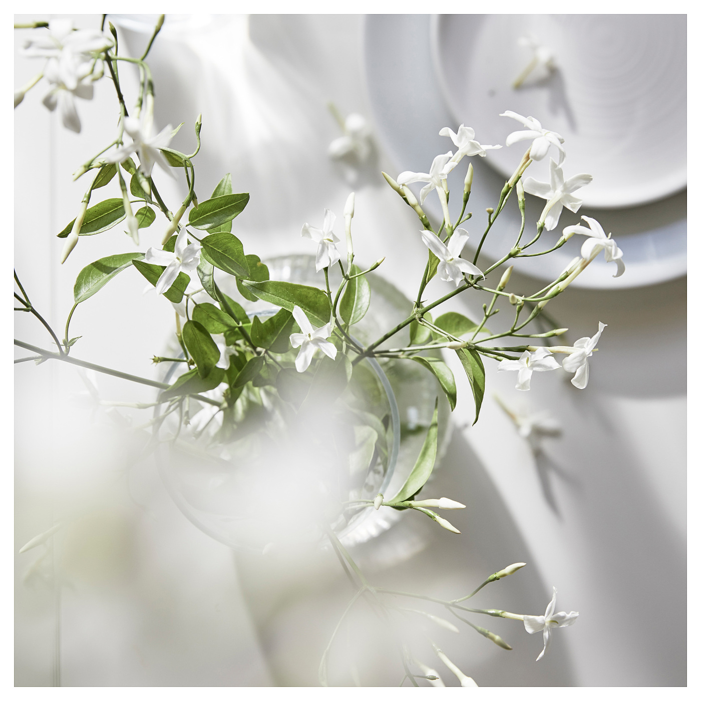 LUGNARE scented potpourri Jasmine/pink - IKEA