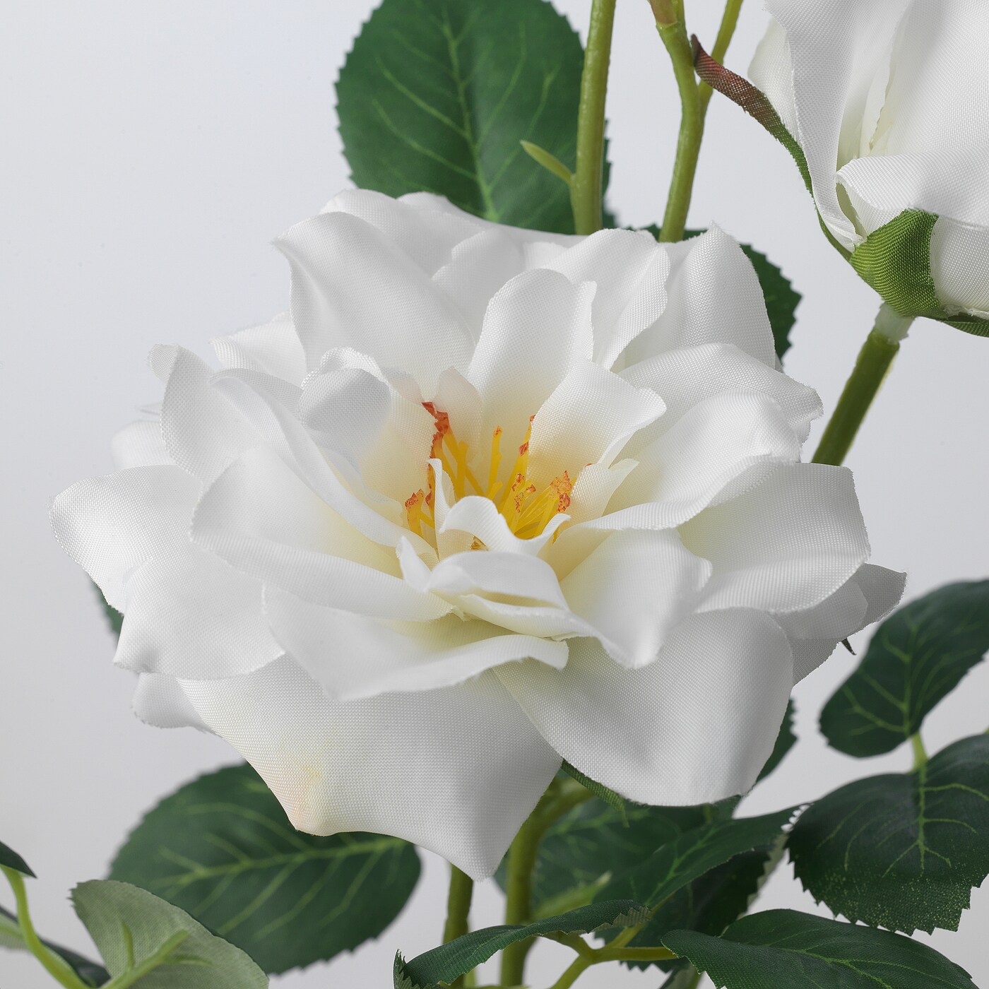 SMYCKA artificial flower in/outdoor/Rose white - IKEA