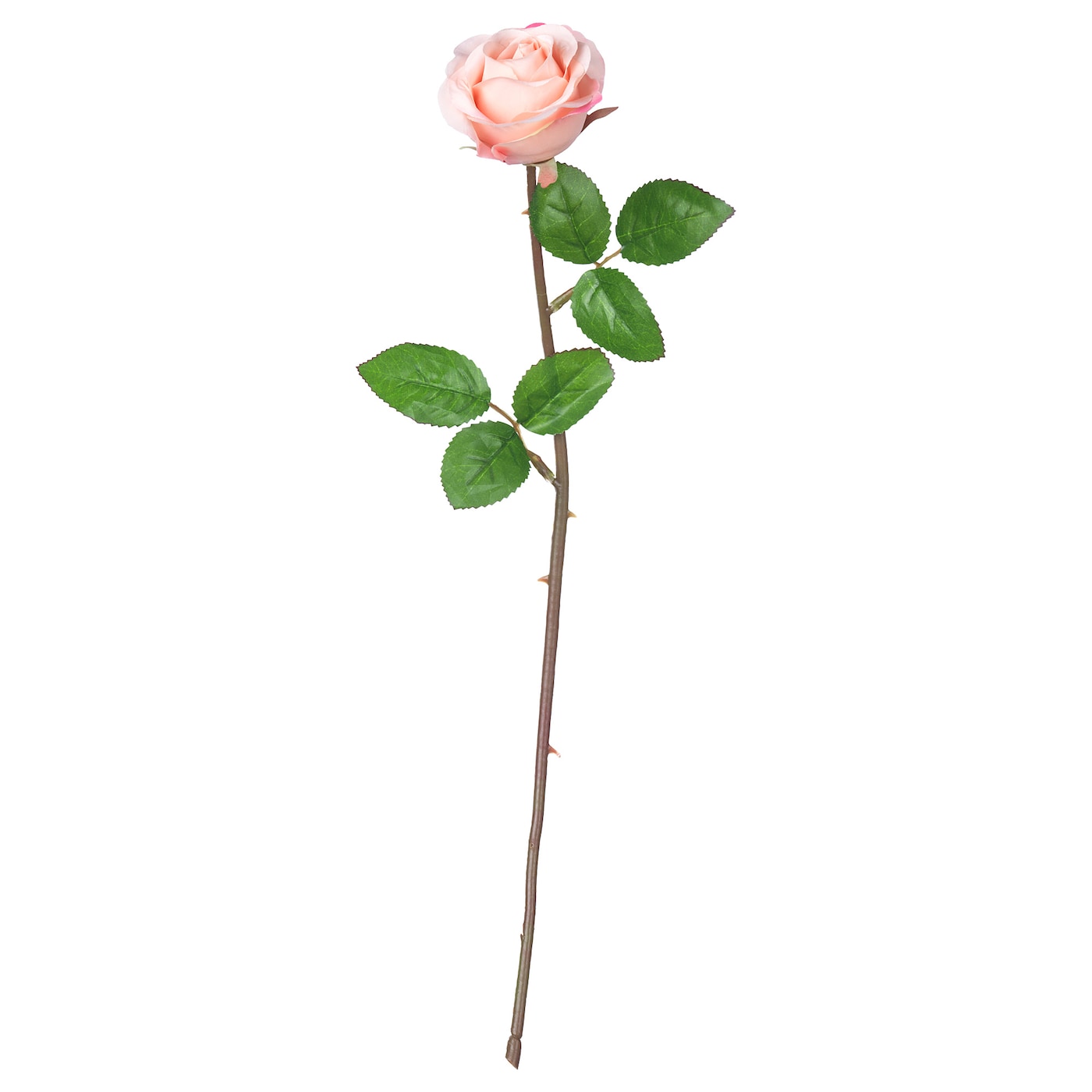SMYCKA artificial flower Rose/pink - IKEA