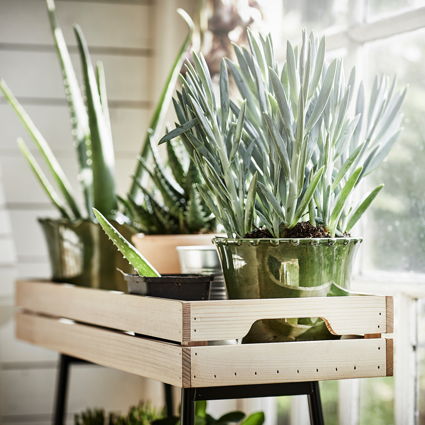 VANILJSTÅNG plant stand pine/black - IKEA